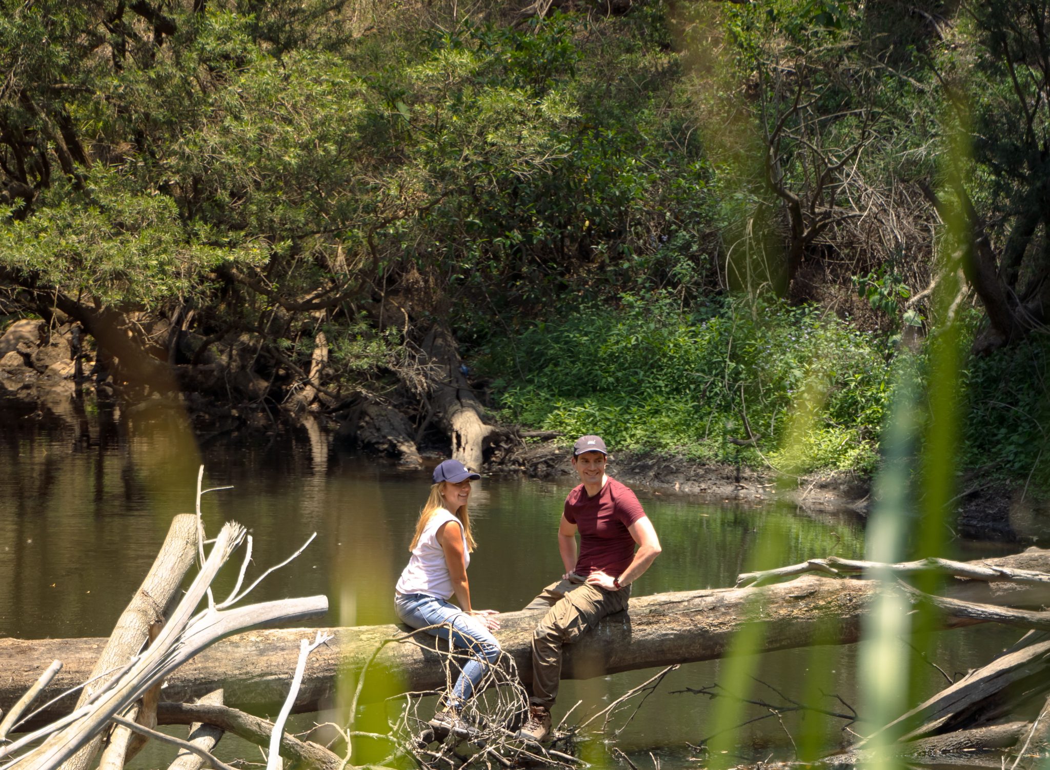 Into The Wild: National Parks to Explore in Somerset | Experience Somerset